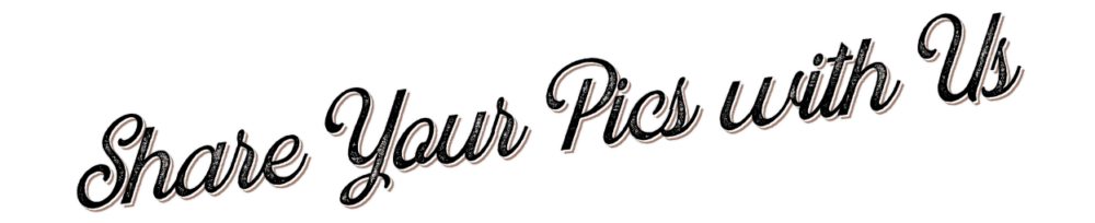 Christensen Arms | Carbon Fiber Barrels & Custom Firearms